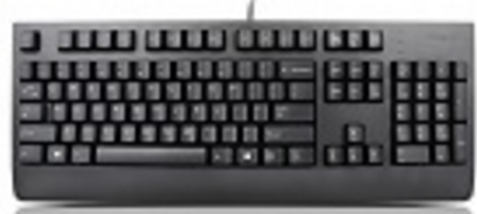 Lenovo 4X30M86889 keyboard USB QWERTY Dutch Black – Transparent