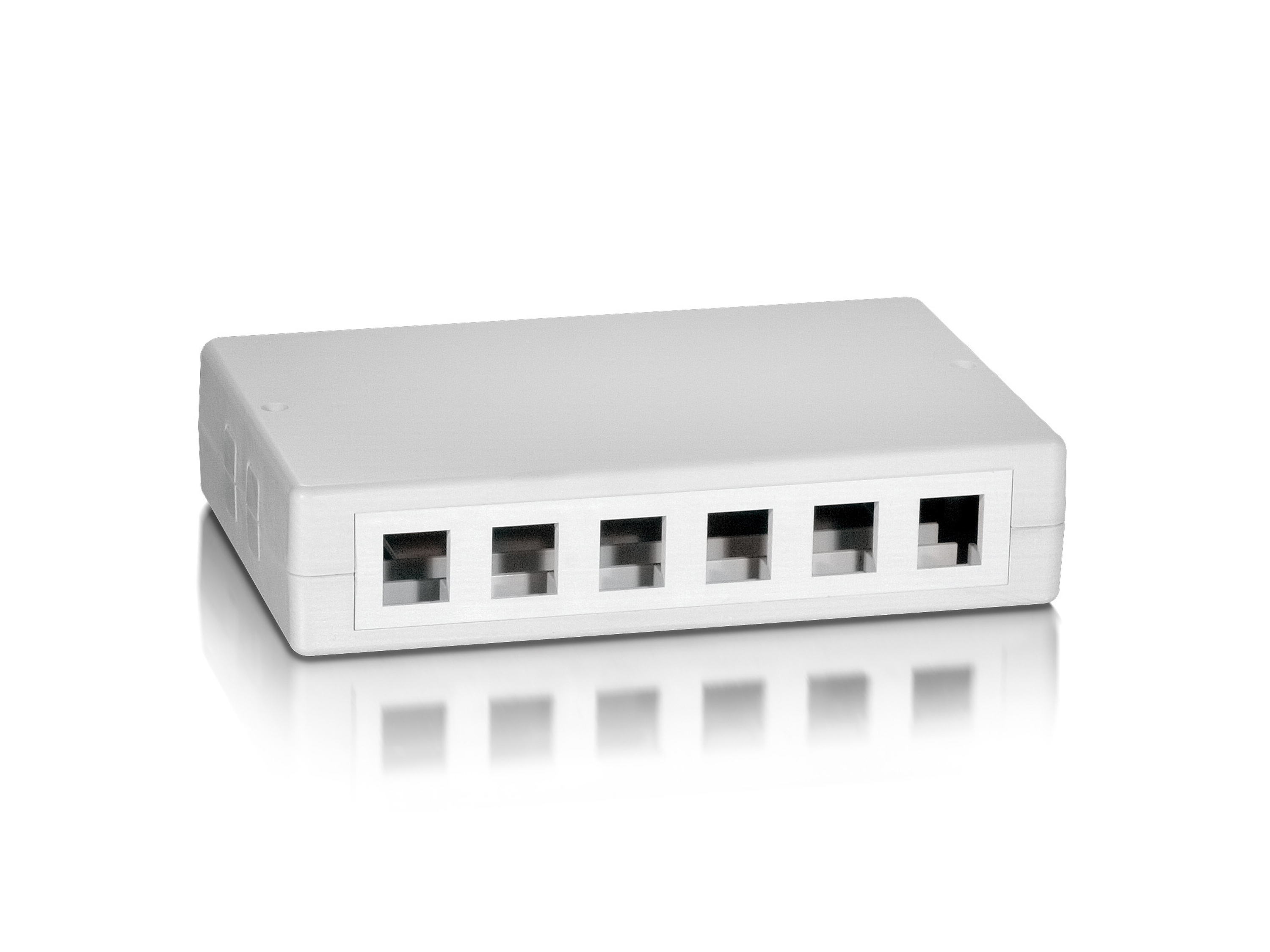 Equip 12-Port Keystone Jack Surface Mount Box – Transparent