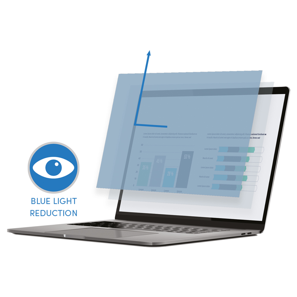 Origin Storage Anti-Blue Security Filter 2-way plug in for 21.5in wide ...