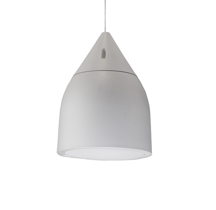 Biamp Desono DP6 Two-Way 6.5-inch High Output Pendant Mount Loudspeaker ...