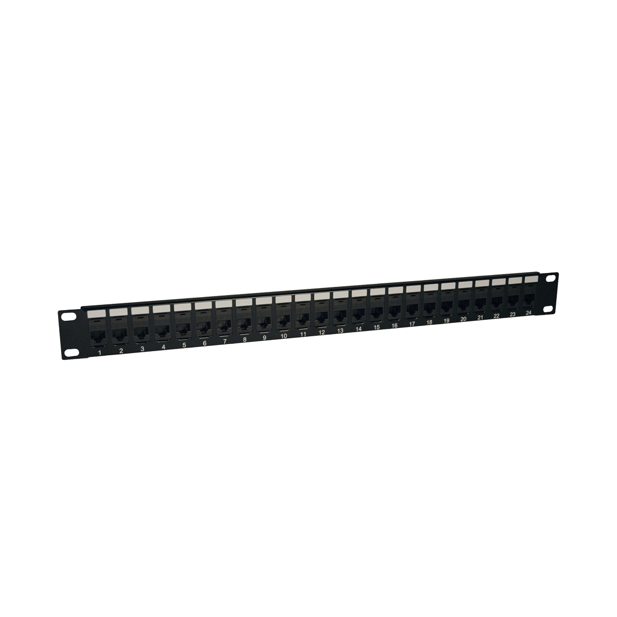 Tripp Lite 24-Port 1U Rack-Mount Cat5e Feedthrough Patch Panel, RJ45 ...