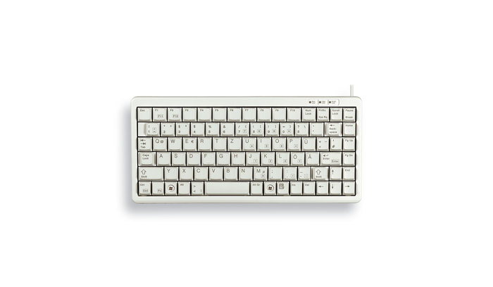 CHERRY G84-4100 keyboard USB QWERTY US English Gray – Transparent