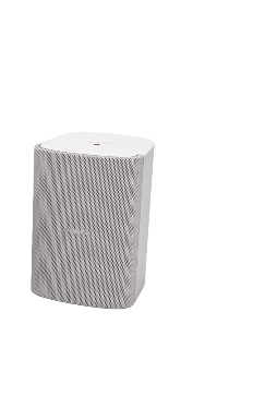 Bose FreeSpace FS4SE White 50 W – Transparent